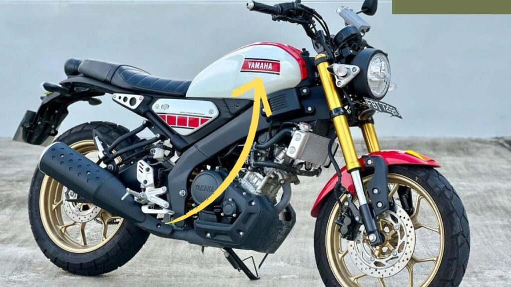 Yamaha XSR 155 - Here’s Everything You Need to Know About Performance, Features, Price and More